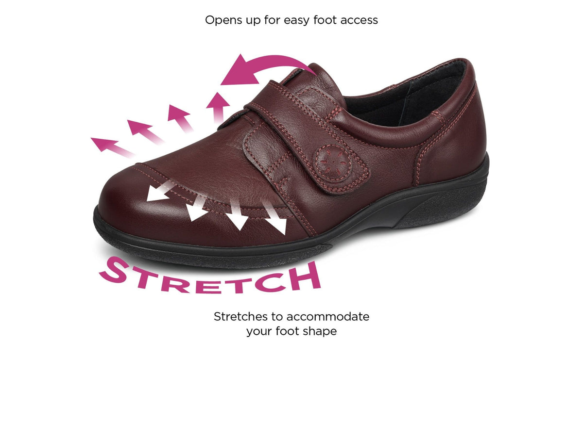 DB Easy B Owl | Black | Ladies shoes at Walsh Brothers Shoes, Tralee